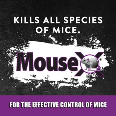 MouseX 12 oz. Non-Toxic Rodent Killer Throw Packs, Effective Against ...
