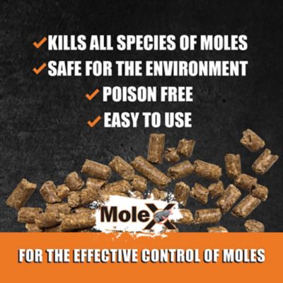 MoleX 8 oz. Non-Toxic Mole Killer Pellets, Effective Against All ...