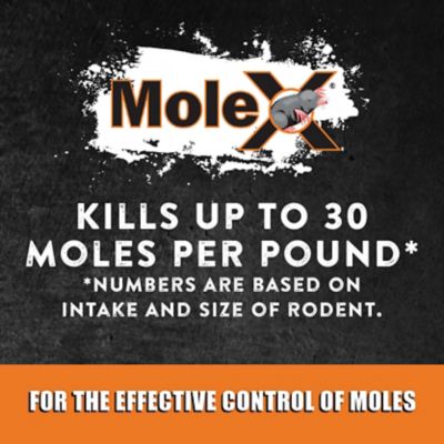 MoleX 8 oz. Non-Toxic Mole Killer Pellets, Effective Against All ...