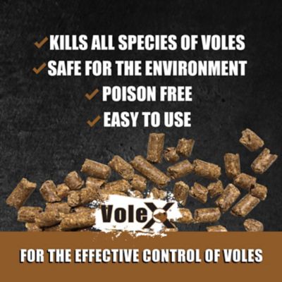 VoleX 8 oz. Non-Toxic Vole Killer Pellets, Effective Against All ...