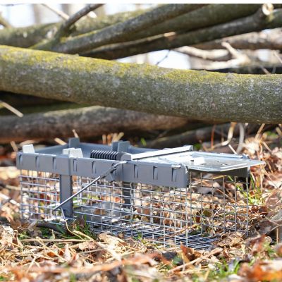 Havahart 1-Door Small Humane Live Catch and Release Animal Trap for ...