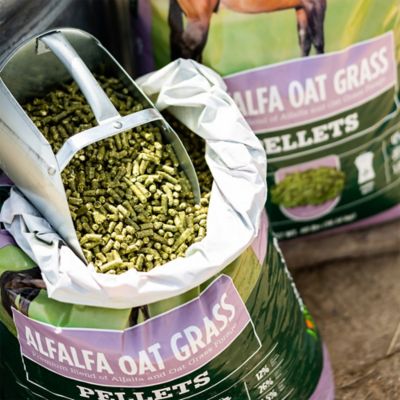 Standlee Premium Western Forage Premium Alfalfa Oat Grass Hay Pellet ...