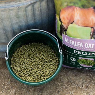 Standlee Premium Western Forage Premium Alfalfa Oat Grass Hay Pellet ...