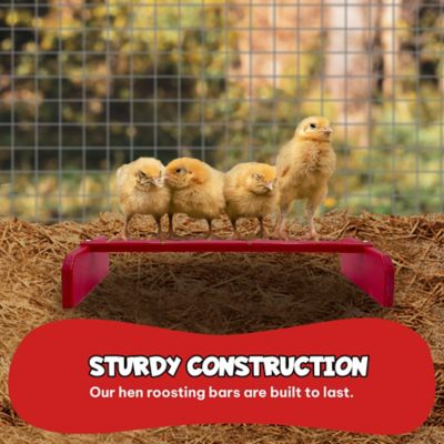 Backyard Barnyard Chicken Roosting Bar Perch for Poultry Coop or Chick ...