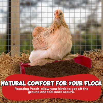 Backyard Barnyard Chicken Roosting Bar Perch for Poultry Coop or Chick ...