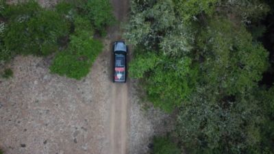 Gerber Ayako Grey/Green Folding Knife, Plain Edge, Japanese-inspired at Tractor Supply Co