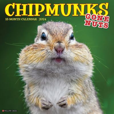 Willow Creek Press Chipmunks (Gone Nuts!) 2024 Wall Calendar, 33012 at ...
