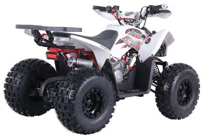 Coleman Powersports Youth 120cc Sport ATV at Tractor Supply Co.