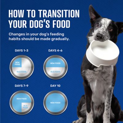 Retriever Adult Performance High-Protein Beef and Chicken Recipe Dry ...