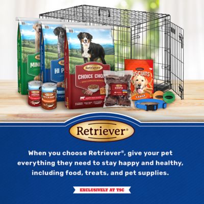 Retriever Adult Performance High-Protein Beef and Chicken Recipe Dry ...