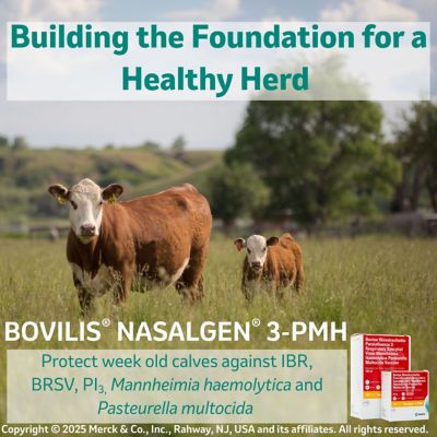 Merck Animal Health Bovilis Nasalgen 3-PMH Vaccine for Cattle, 10 Doses ...