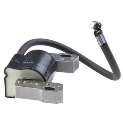 OakTen Ignition Coil Spark Plug Pack for Briggs & Stratton 492341 ...