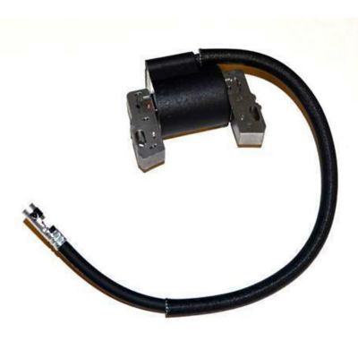 OakTen Ignition Coil Spark Plug Pack for Briggs & Stratton Compatible ...