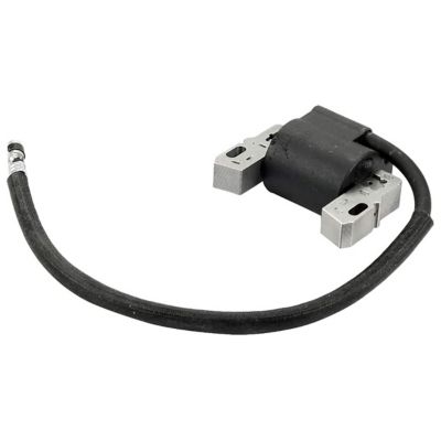 OakTen Ignition Coil Spark Plug Pack for Briggs & Stratton Compatible ...