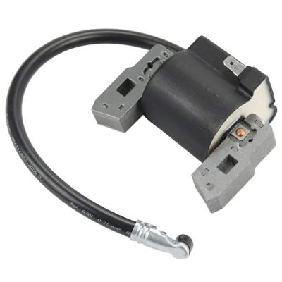 OakTen Ignition Coil Spark Plug Pack for Briggs & Stratton 395491 ...