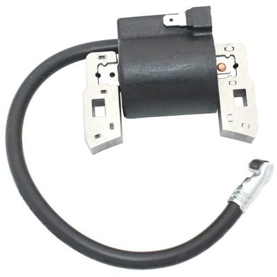 OakTen Ignition Coil Spark Plug Pack for Briggs & Stratton 395491 ...