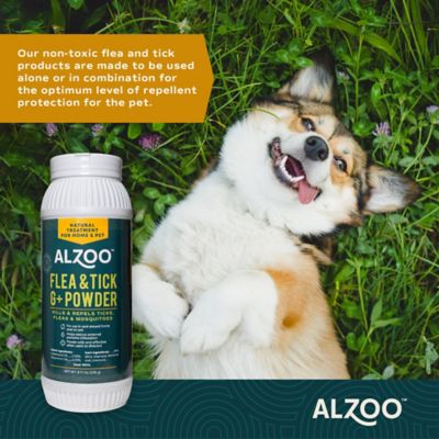 Alzoo Natural Flea and Tick G+ Home Treatment for Pets, 8 oz. at ...