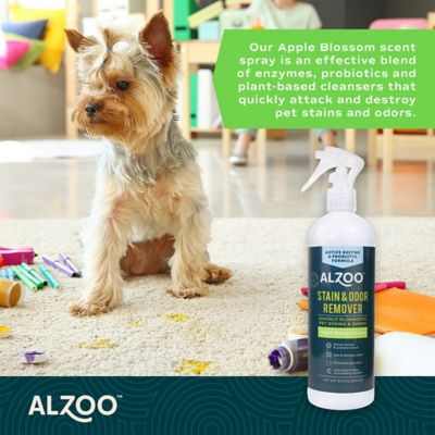 Alzoo Plant Based Apple Blossom Scented Stain and Odor Remover, 16 oz ...