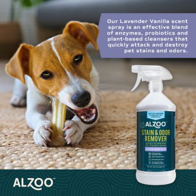 Alzoo Plant Based Lavender Vanilla Scented Stain and Odor Remover, 32 ...