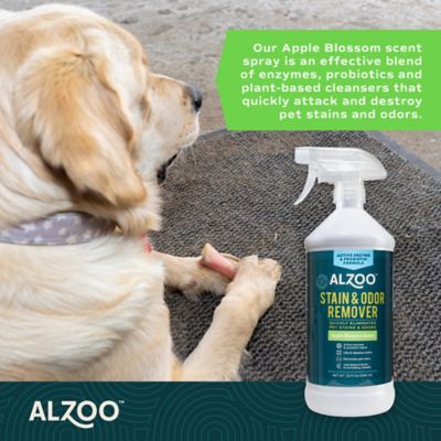 Alzoo Plant Based Apple Blossom Scented Stain and Odor Remover, 32 oz ...
