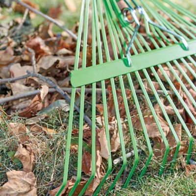 Ames 21.6 in. Plastic 22-Tine Leaf Rake with 54 in. Hardwood/Steel ...