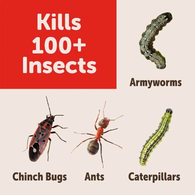 Sevin Garden Perimeter Insect Killer 3 lb., 100550343 at Tractor Supply Co.