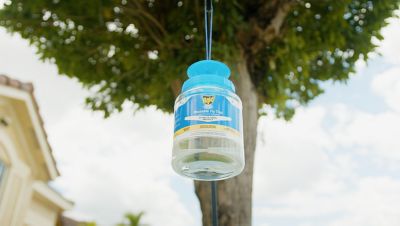 Raid Reusable Fly Jar Trap With Lure at Tractor Supply Co.