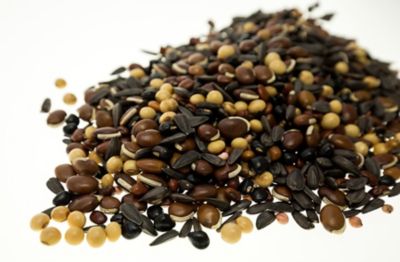 Tecomate Lablab Plus, 16000 at Tractor Supply Co.