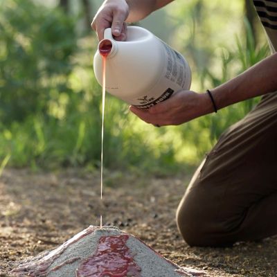 Big Tine Happy Hour Cherry Liquid Mineral Deer Attractant, 1 gal. at ...