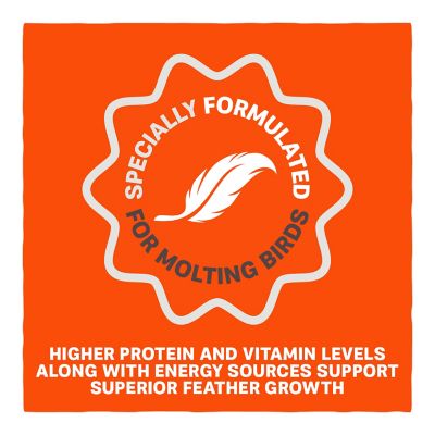 Blue Seal Home Fresh Better Feather Pelleted Poultry Feed, Large, 40 lb ...