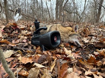 ICOtec Night Stalker Plus Professional Predator Call with Bluetooth at ...