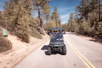 Racka 4-Seater 48V 5,000W Electric Utility Cart at Tractor Supply Co.