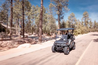 Racka 4-Seater 48V 5,000W Electric Utility Cart at Tractor Supply Co.