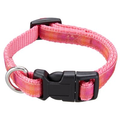 Best Furry Friends Ombre Graphic Dog Collar, L/XL,Pink at Tractor Supply Co