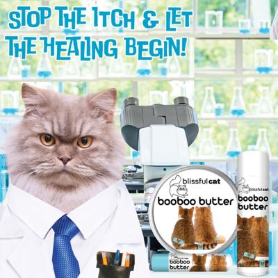 The Blissful Dog Boo Boo Butter for Cats, .50 oz. Tube at Tractor ...