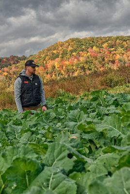 Domain Outdoor Show Stopper Food Plot Mix - Big Gulp, SSFP24 at Tractor ...