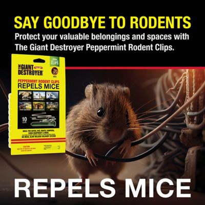 The Giant Destroyer Rodent Clips at Tractor Supply Co.