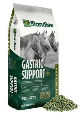 Standlee Forage Plus Gastric Support Pellets Horse Feed, 40 lb. Bag at ...