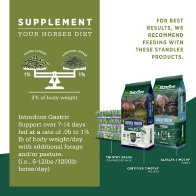 Standlee Forage Plus Gastric Support Pellets Horse Feed, 40 lb. Bag at ...