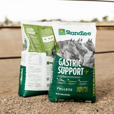 Standlee Forage Plus Gastric Support Pellets Horse Feed, 40 lb. Bag at ...