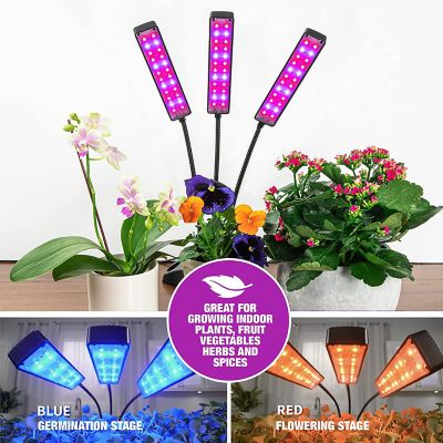 Bell & Howell Bionic Grow 3-Head 6W Equivalent Full Spectrum UV Indoor ...