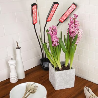 Bell & Howell Bionic Grow 3-Head 6W Equivalent Full Spectrum UV Indoor ...