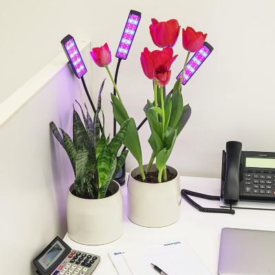 Bell & Howell Bionic Grow 3-Head 6W Equivalent Full Spectrum UV Indoor ...