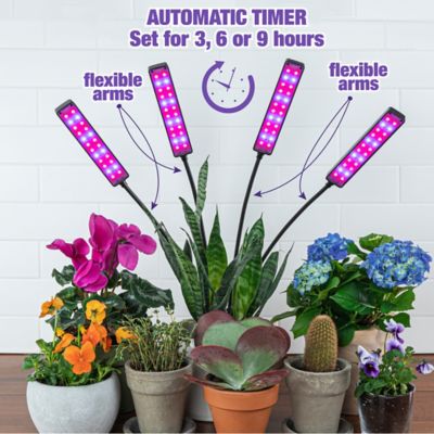 Bell & Howell 9 Watt Equivalent 220-Lumen Bionic Grow 4-Head Full ...