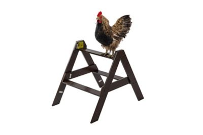 New Age Pet Restful Roost A Shape Roosting Bar, EFCRRA30-09M at Tractor ...