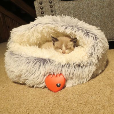 Palace Nursery, PKN-01 at Tractor Supply Co.