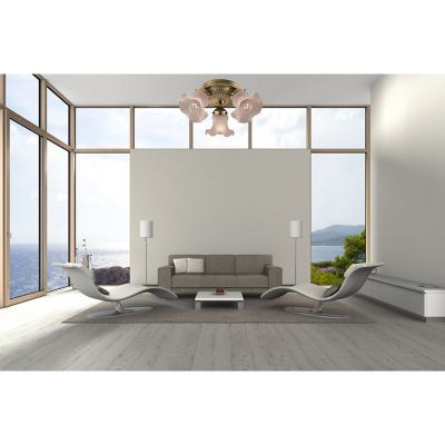 SUPERHUNTER Flush Mount Ceiling Light, JLB-EDL-EL0063 at Tractor Supply Co.