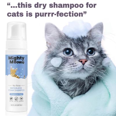 Mighty Meow Dry Shampoo for Cats, No-Rinse Waterless Foam All-Natural ...