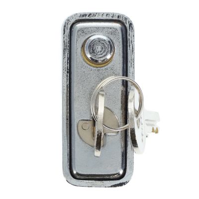 RoadPro 2.75 in. Brass Truck/Trailer Lock at Tractor Supply Co.
