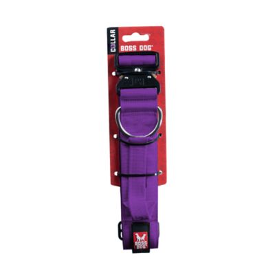 Boss Dog Tactical Dog Collar, Large 1.5 in. (17-22in.),Purple at ...
